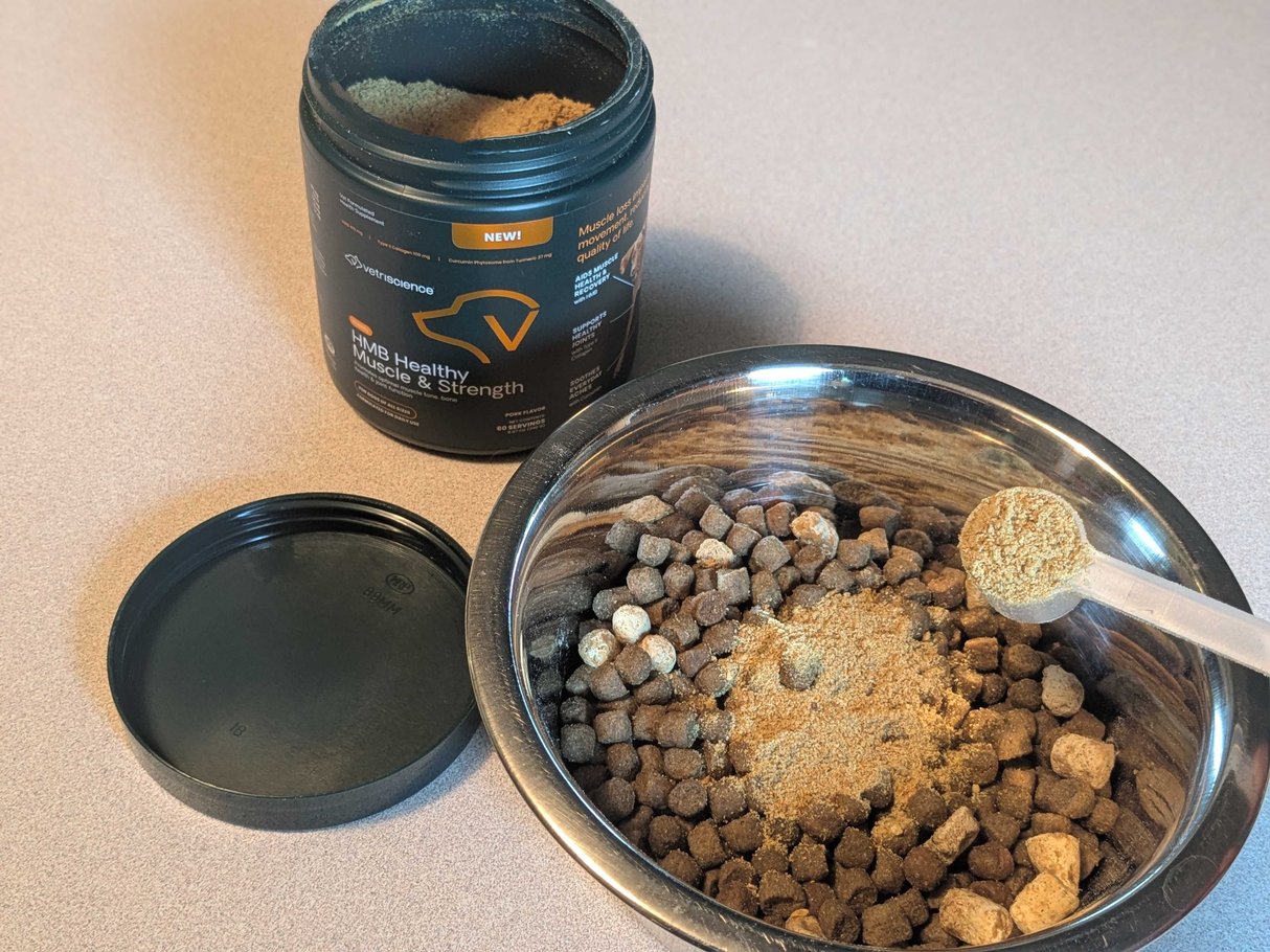 Dog Muscle Supplements: Build Strength with HMB | VetriScience